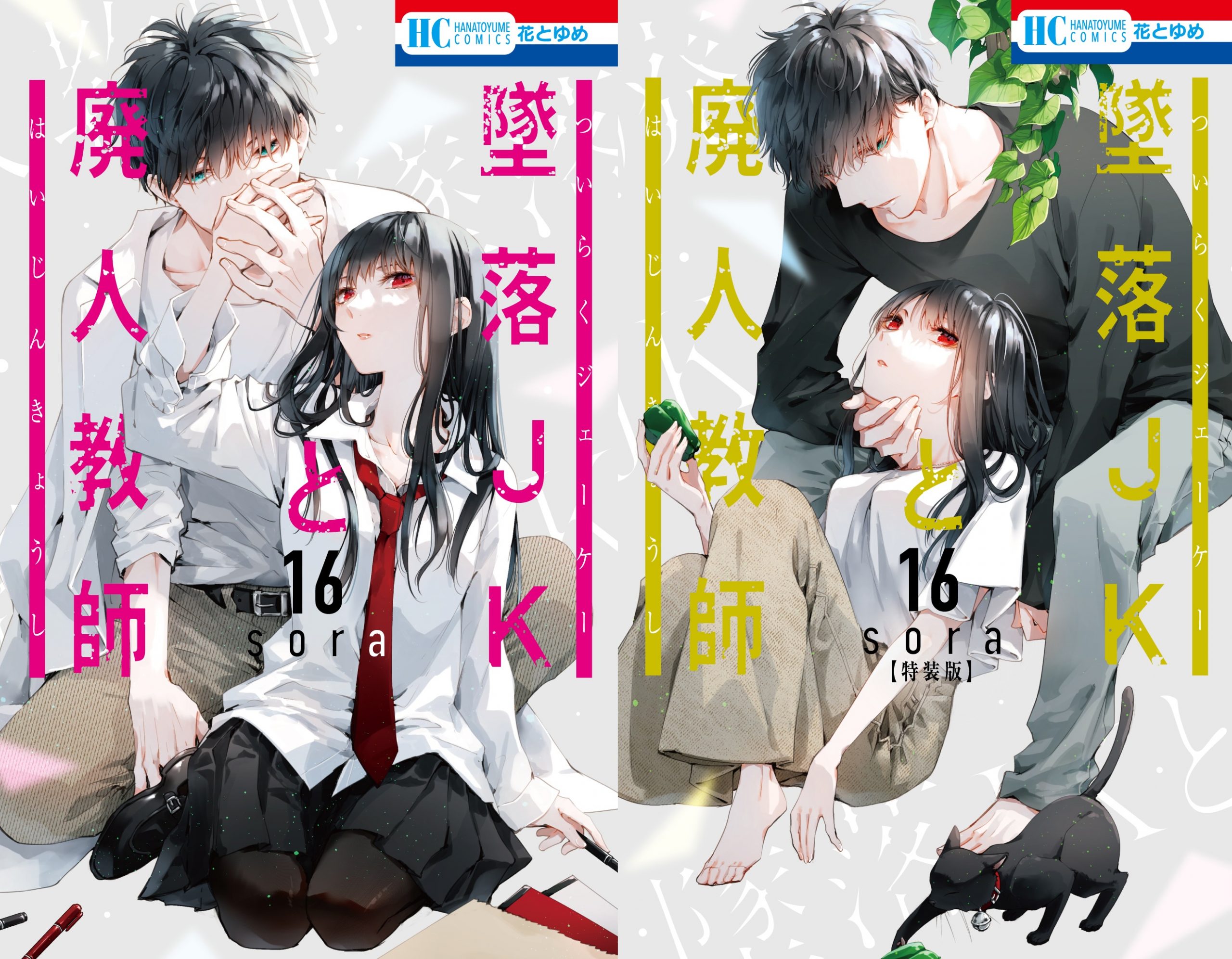 花とゆめコミックス「墜落JKと廃人教師」16巻 通常版＆特装版 （sora） 紙版特典情報|白泉社